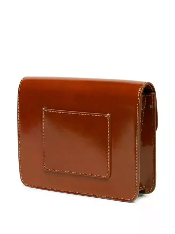 CAREL Mini Sorbonne Leather Shoulder Bag