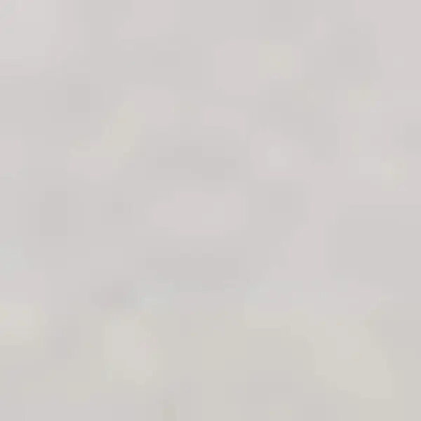 Moncler Orris Irregular Rectangle Sunglasses