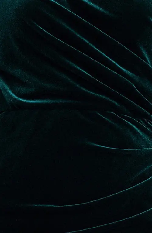 Betsy & Adam Off The Shoulder Asymmetric Velvet Gown