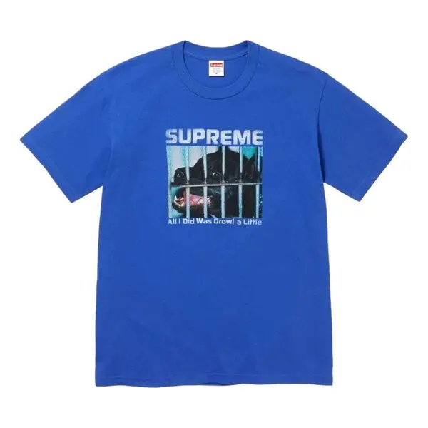 Supreme Fw26 Growl T-shirt - Royal