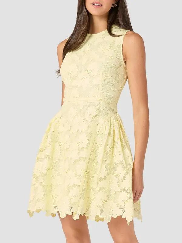 Shoshanna Fleur Lace Sleeveless Minidress