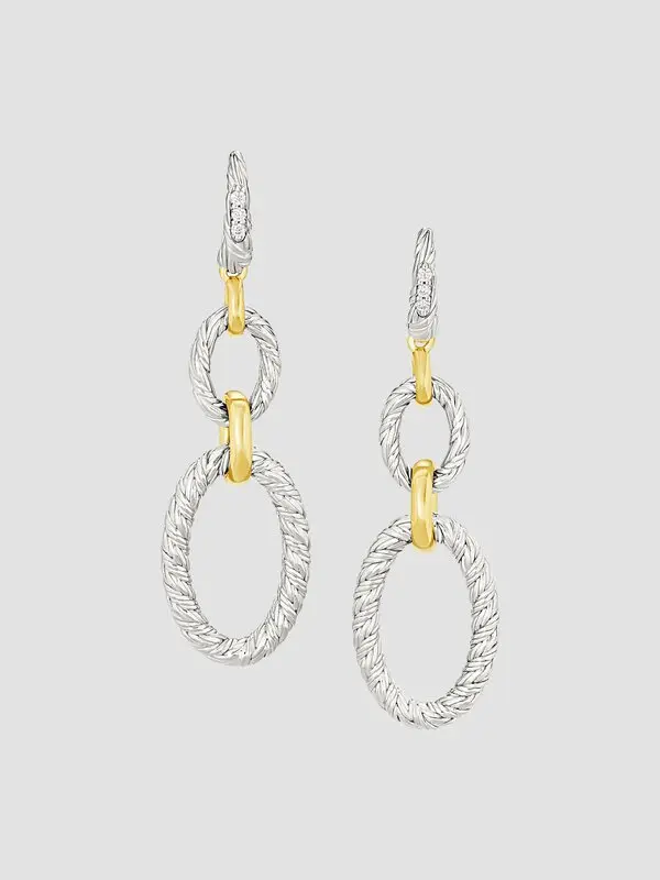 JAN LESLIE Sterling & 18k Yellow Gold Oval-link Chain Earrings - Silver