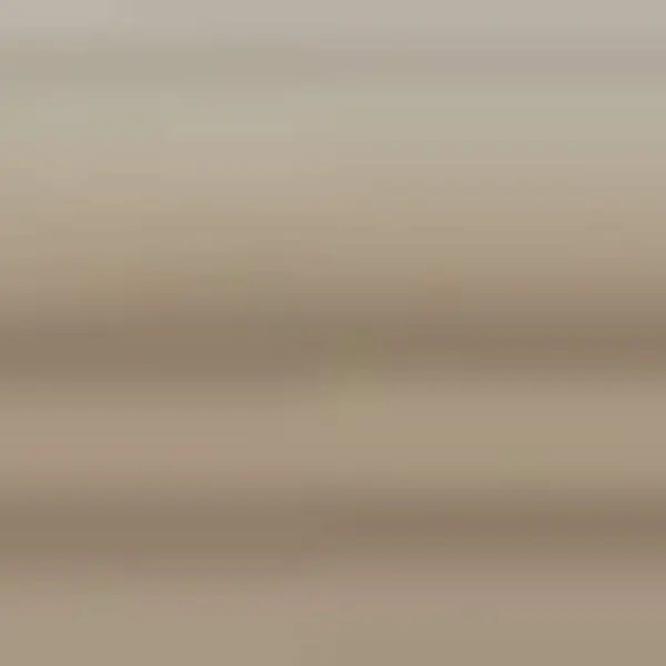 Persol Calligrapher Phantos Sunglasses