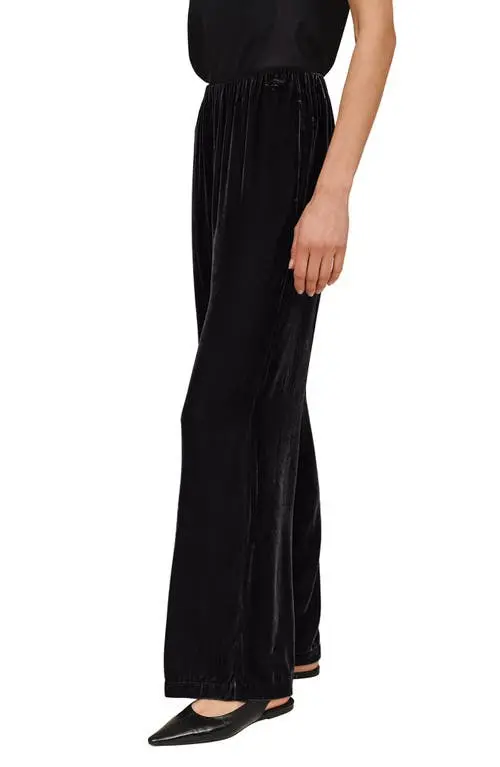 Bella Dahl Sleek Clean Wide Leg Velvet Pants