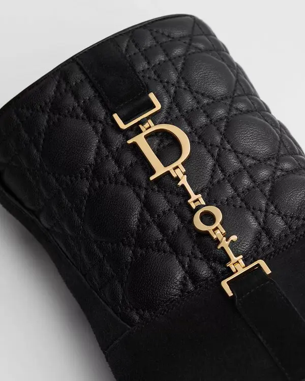 Dior Dioralps Diorly Ankle Boot