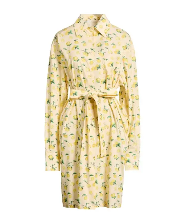 Sportmax Multi-color Shirt Dress - Nude