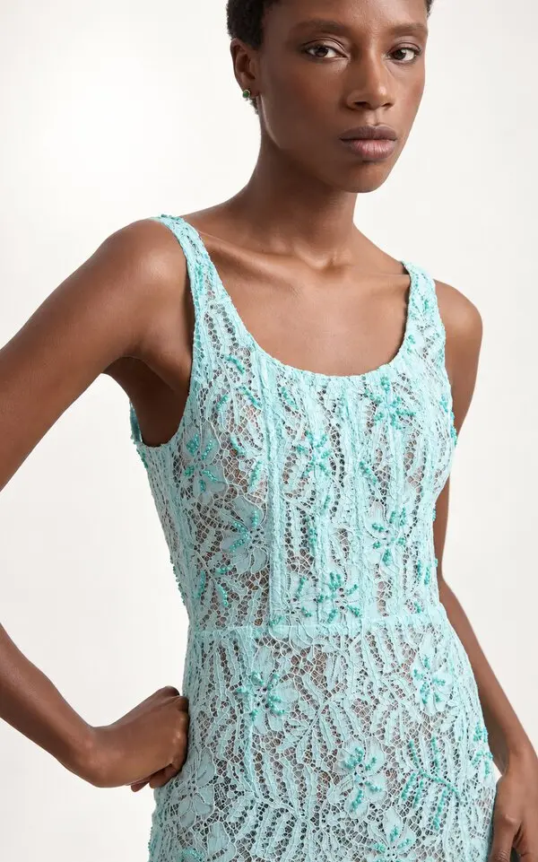 FRANCESCA MIRANDA Stellar Cotton-lace Midi Dress