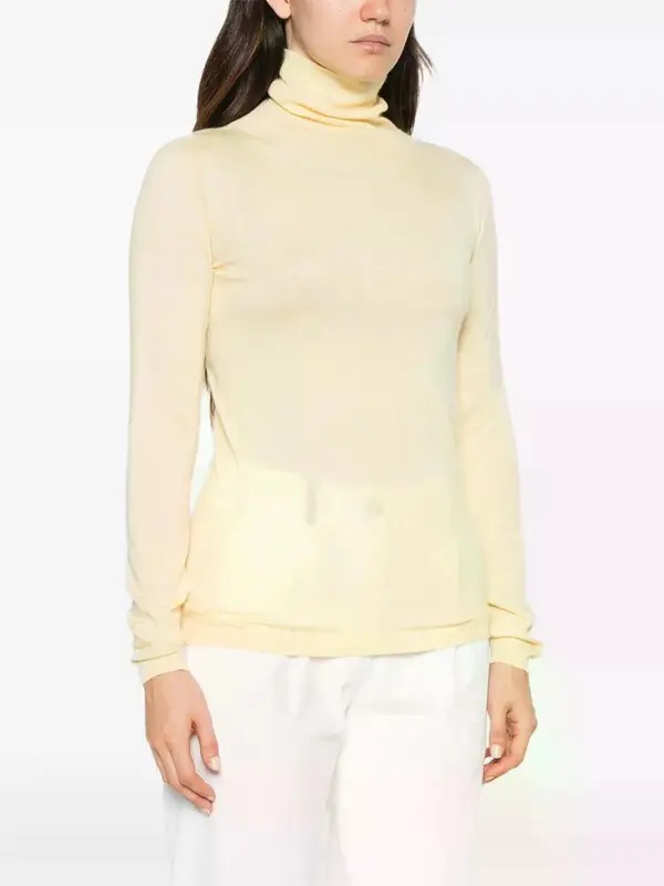 Fabiana Filippi Roll-neck Long-sleeve Sweater