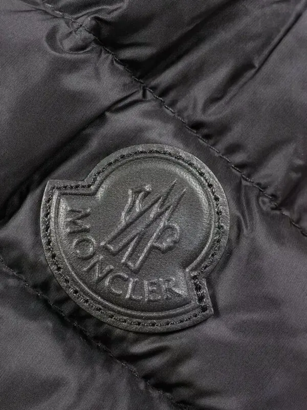 Moncler 2020 Raies Hooded Down Jacket