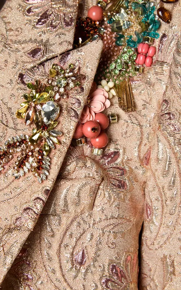 Dries Van Noten Brody Embellished Jacket
