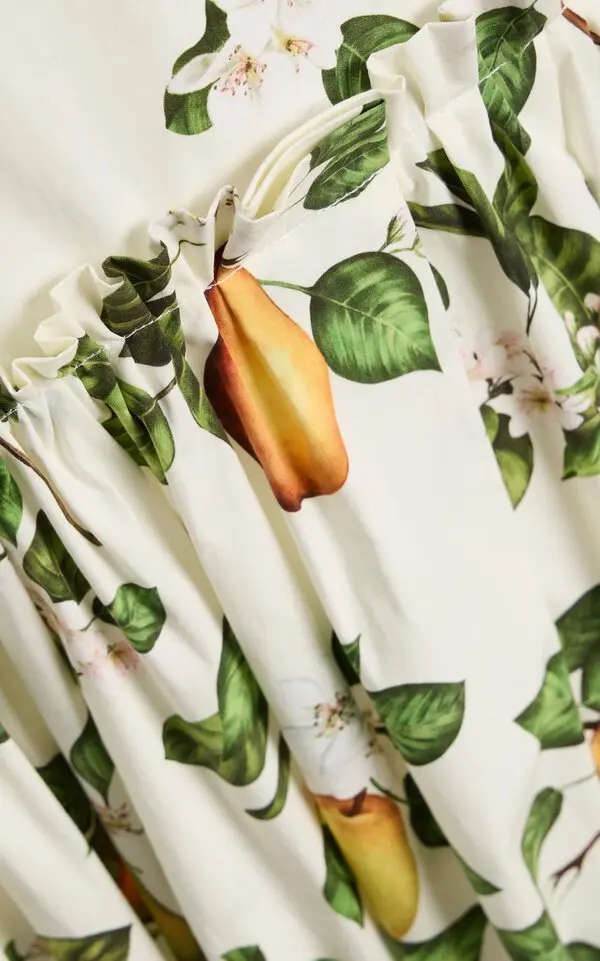 Oscar De La Renta Pear Floral Degradé Poplin Maxi Dress