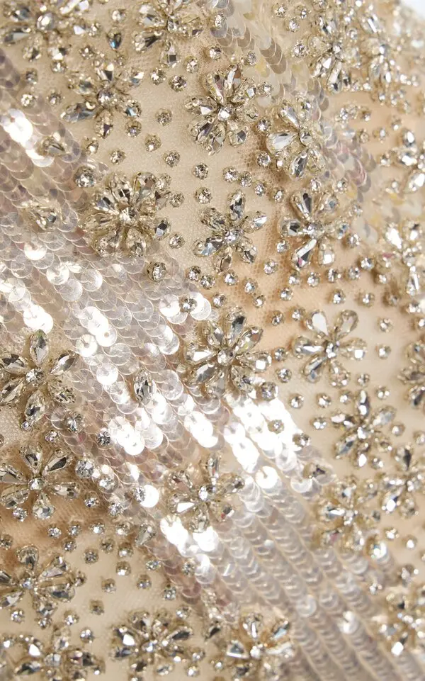 Oscar De La Renta Embroidered Degradé Gown