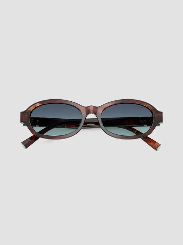 Tiffany & Co. 52mm Oval Sunglasses - Brown