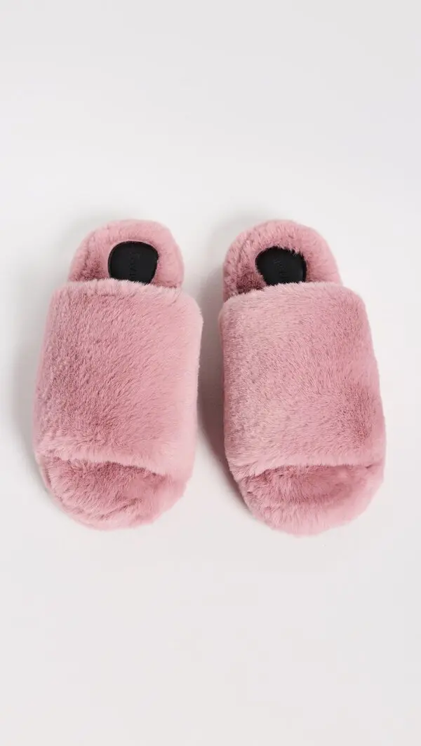 Apparis Dillon Slides