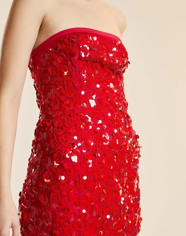 Cynthia Rowley Ruby Slipper Dress