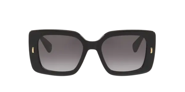 Dior Sunglass Initials S2i