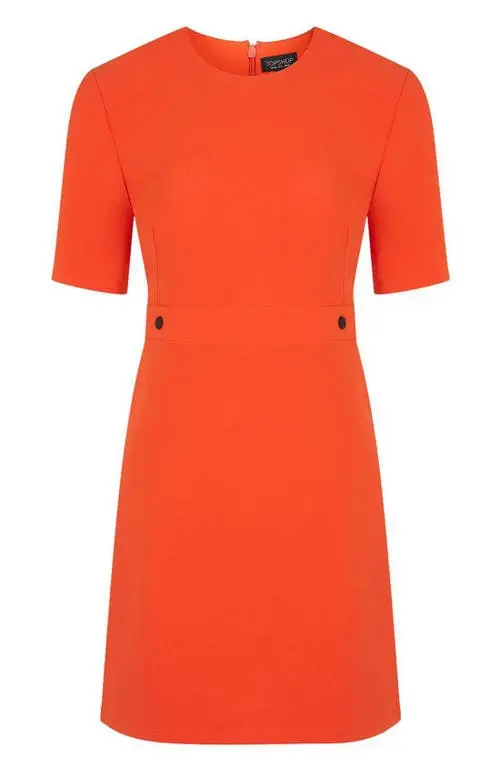 Topshop Short Sleeve Shift Dress