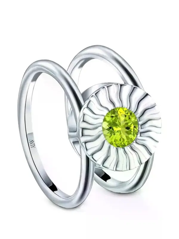 ANTY Aura Reversible Rings