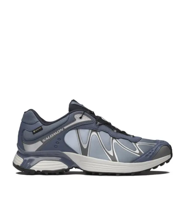 SALOMON Xt-whisper Gore-tex - Gray