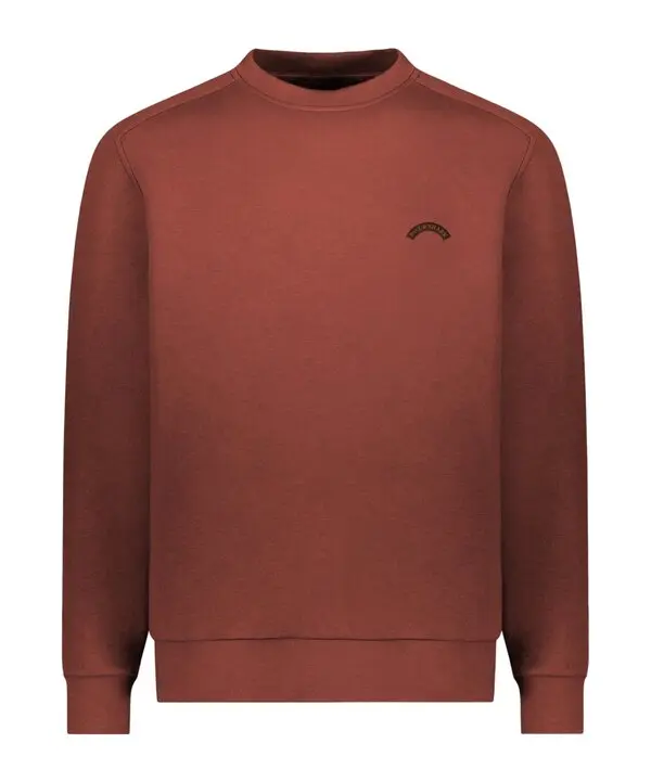 Paul & Shark Simple And Trendy Hoodie - Brown