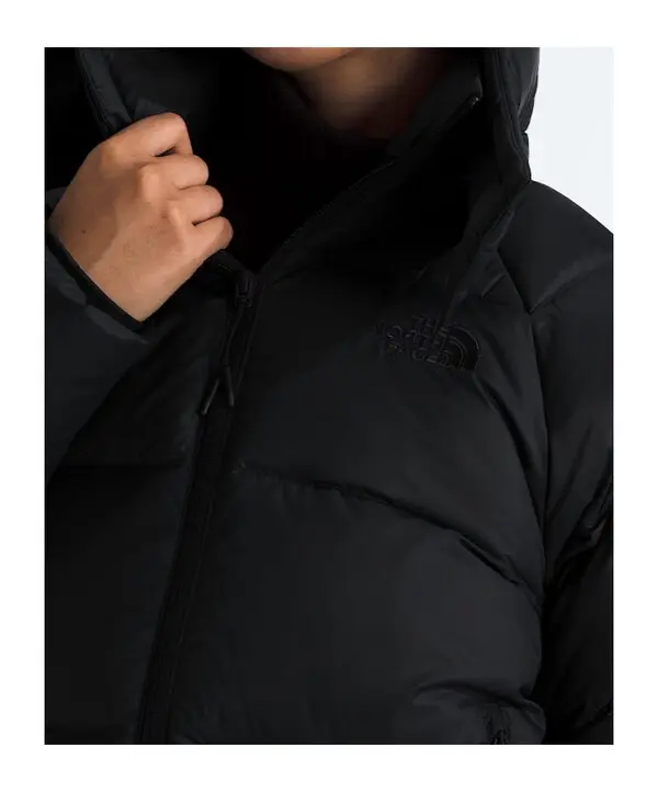The North Face Hydrenalite City Hooded Puffer Jacket