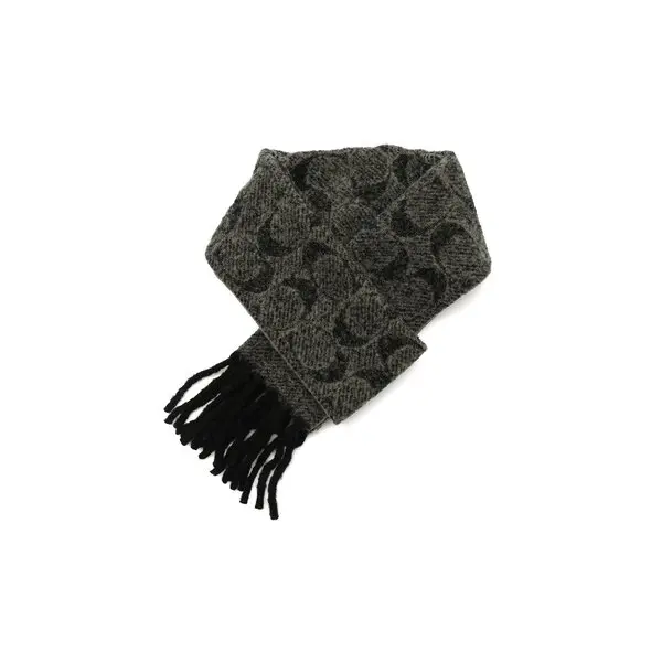 COACH Jacquard Long Scarf