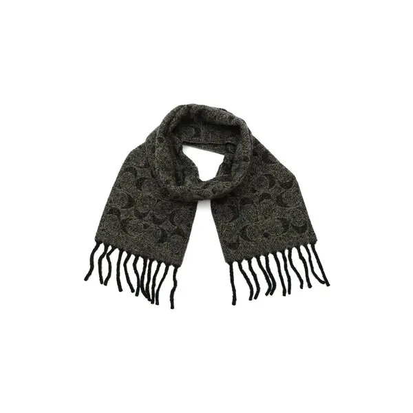 COACH Jacquard Long Scarf