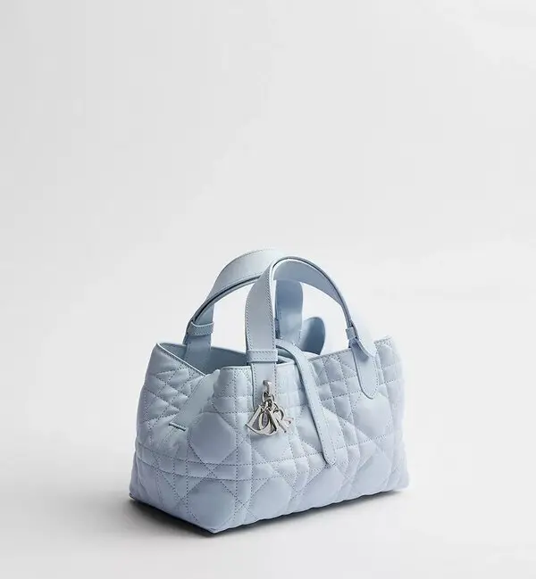 Dior Small Toujours Bag