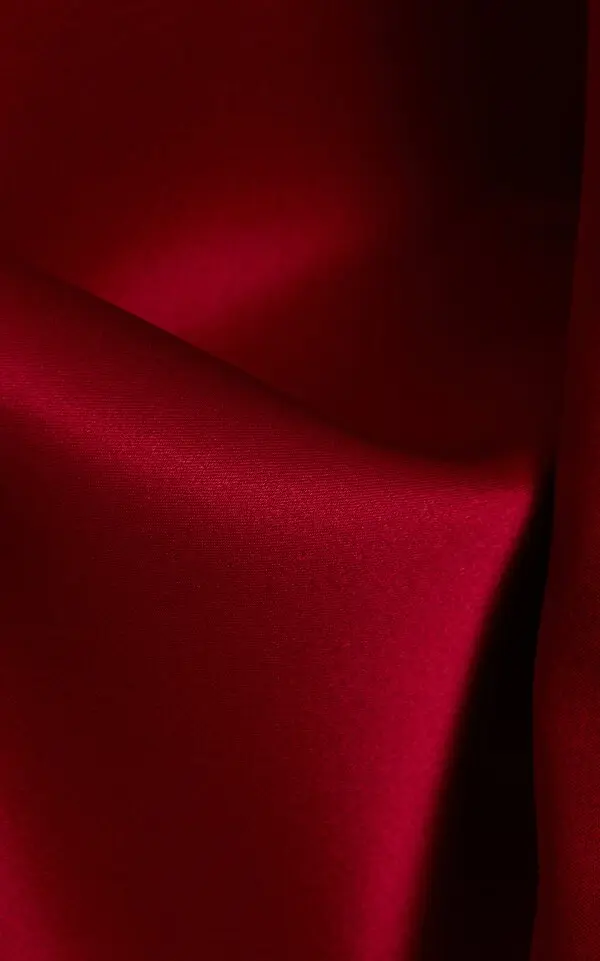 HEIRLOME Exclusive Delphine Silk Top