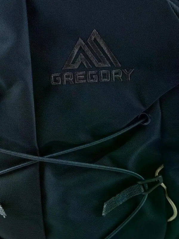 GREGORY Terros 20l Logo-embroidered Bungee-cord Backpack