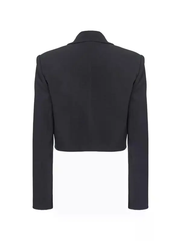Pinko Cropped Notch-lapel Blazer