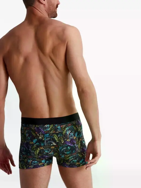 AUBADE Dragon-print Trunks