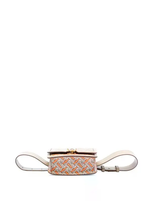 Burberry 2018-2023 Tb Monogram Printed Leather Belt Bag