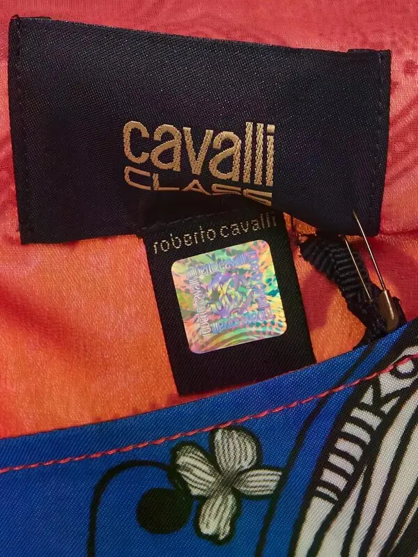 Roberto Cavalli Printed Mini Dress