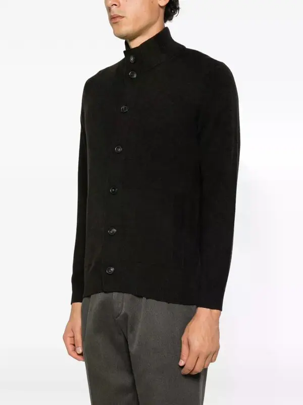 FILIPPO DE LAURENTIIS Button-up Wool Cardigan