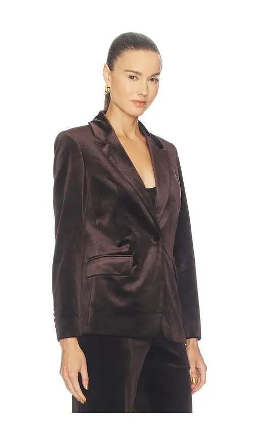KARINA GRIMALDI Shon Velvet Jacket In Brown