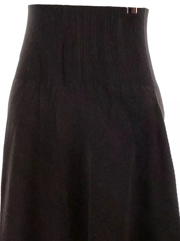 Extreme Cashmere Pleated Knitted Midi Skirt