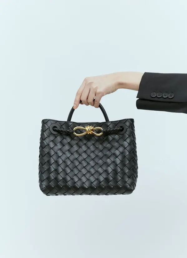 Bottega Veneta Small Andiamo Handbag
