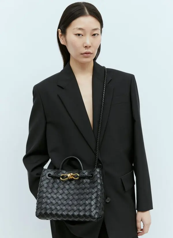 Bottega Veneta Small Andiamo Handbag