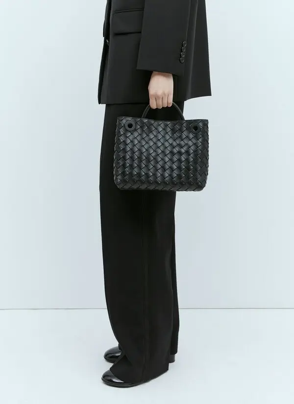 Bottega Veneta Small Andiamo Handbag
