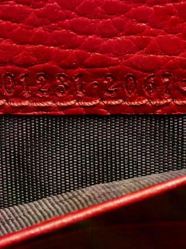 Gucci Dionysus Crystal Wallet On Chain Crossbody Bag