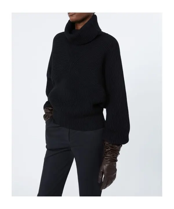 Sportmax Spscinto Ribbed High Neck Sweater