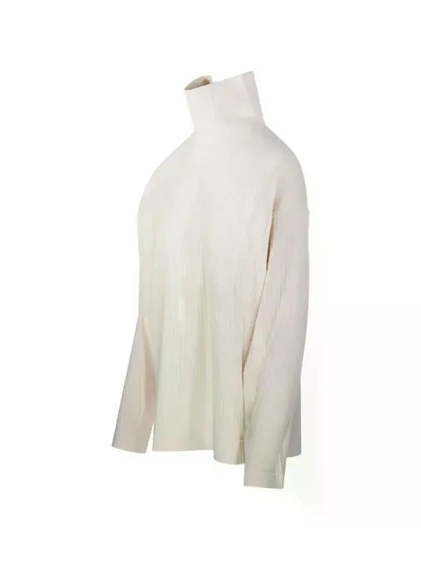 THE EROSE Ribbed Roll-neck Sweater