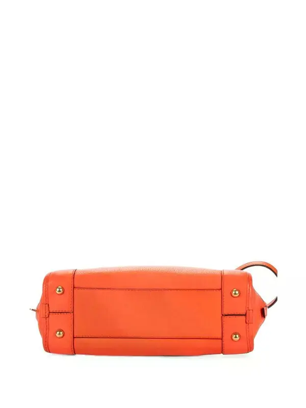 Loewe 23 Amazona Tote Bag