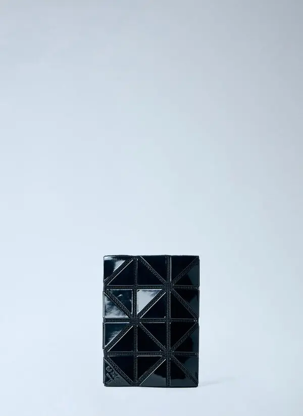 Issey Miyake Card Case Matte