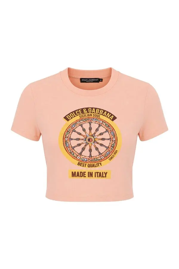 Dolce & Gabbana Clothing T-shirt - Multicolor