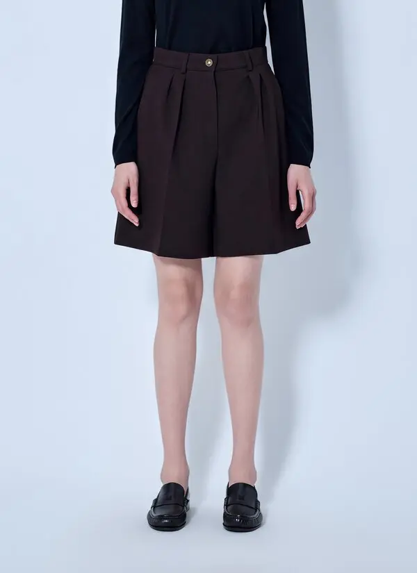 Max Mara Pleated Tailored Shorts - Multicolor