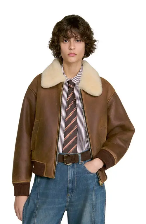 Sandro Zipped Shearling Jacket