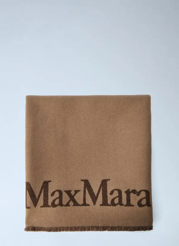 Max Mara Woven Logo Scarf - Multicolor