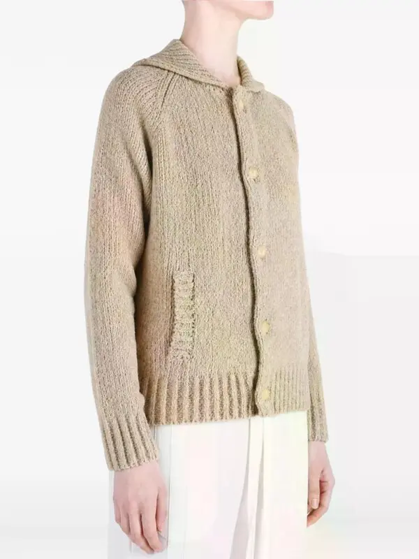 Auralee Button-up Hooded Cardigan